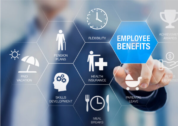 Employee Benefits Chart | TotalRewards Software